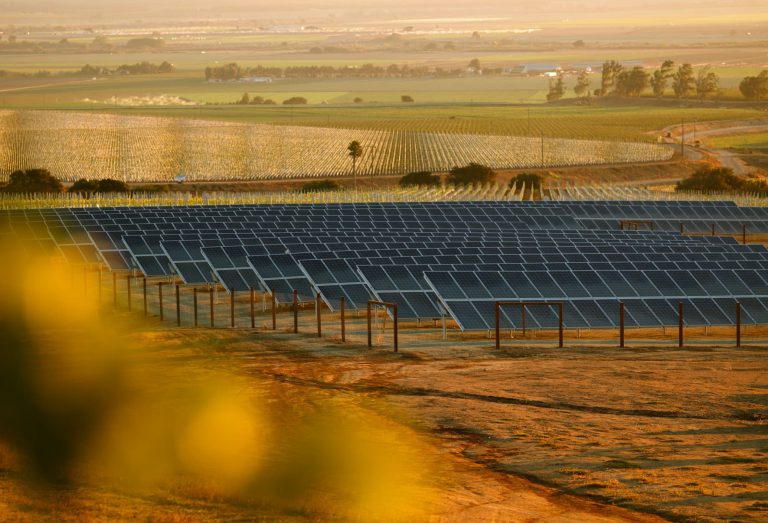 Solar Farm Paraiso - GOLDBECK SOLAR North America