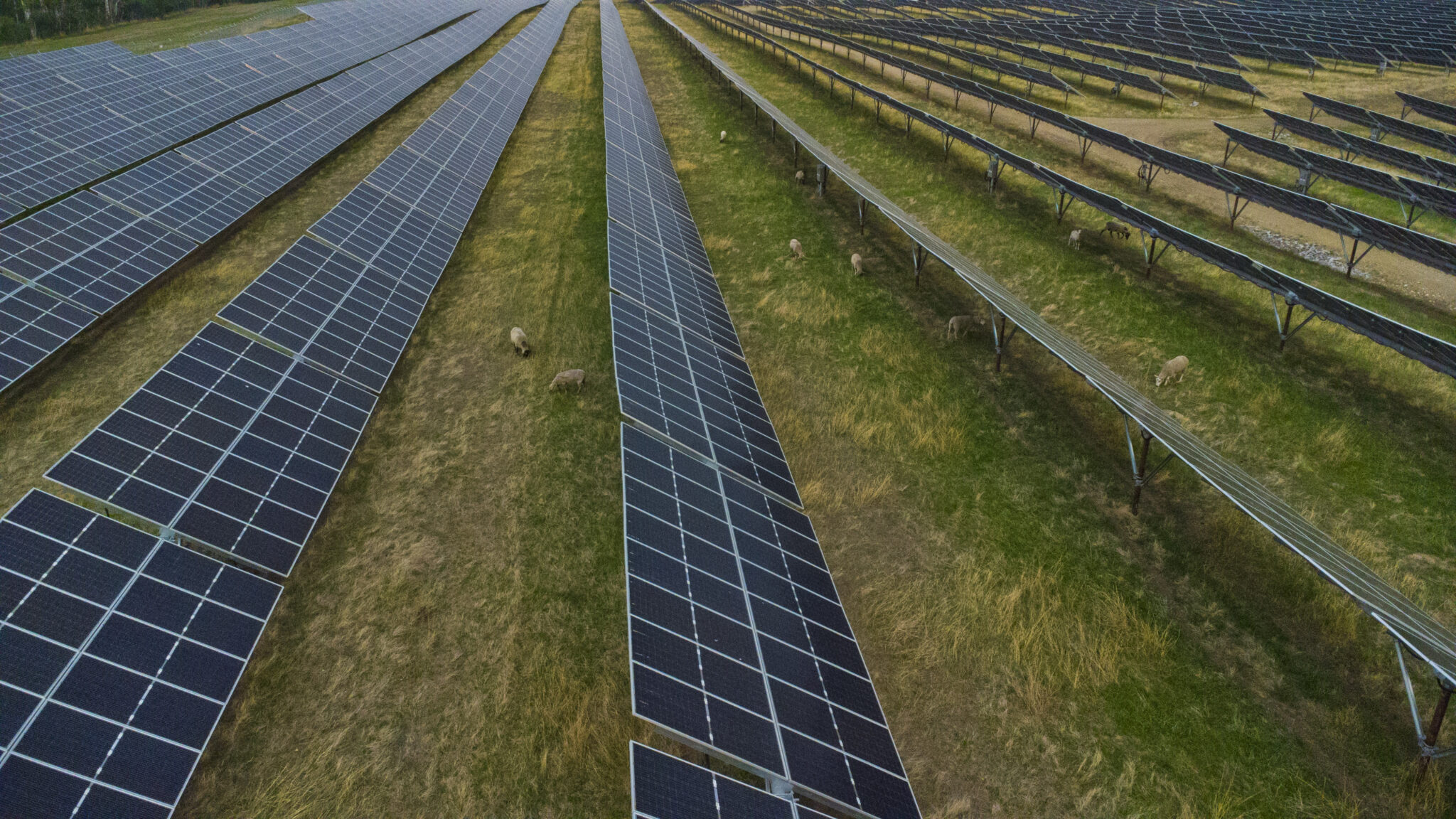 EPC and Racking Solutions - GOLDBECK SOLAR North America